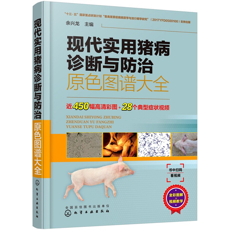 现代实用猪病诊断与防治原色图谱大全 养殖养猪技术大全 猪病诊治图谱大全 兽医畜牧 猪病诊断与防治一本通 养猪手册