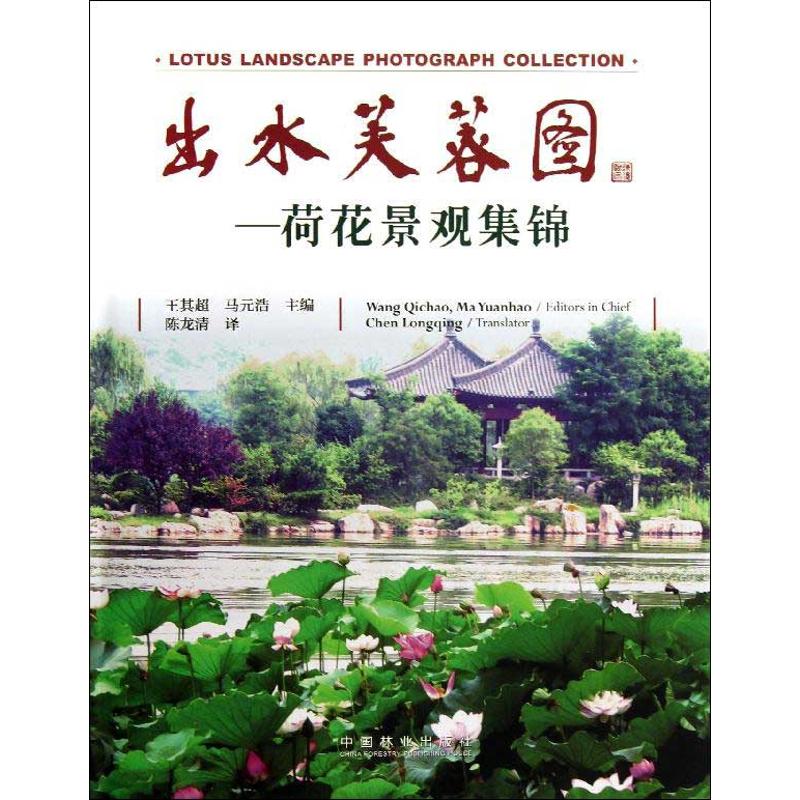 出水芙蓉