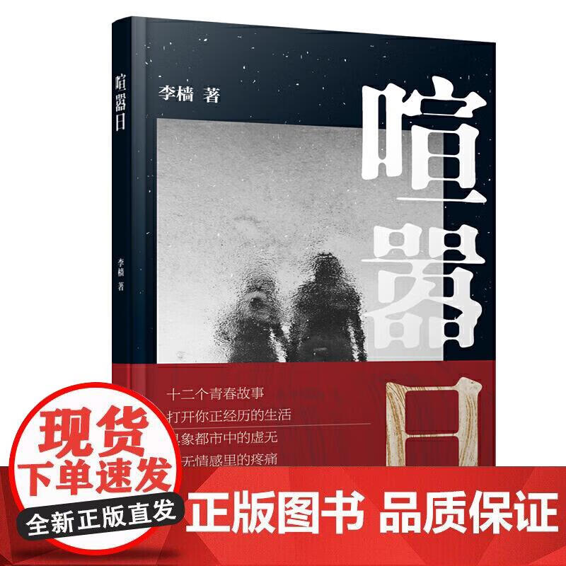 喧嚣日(精装)