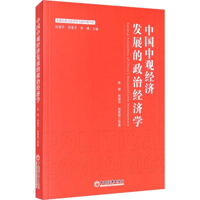 中国中观经济发展的政治经济学 高煜 等 书籍