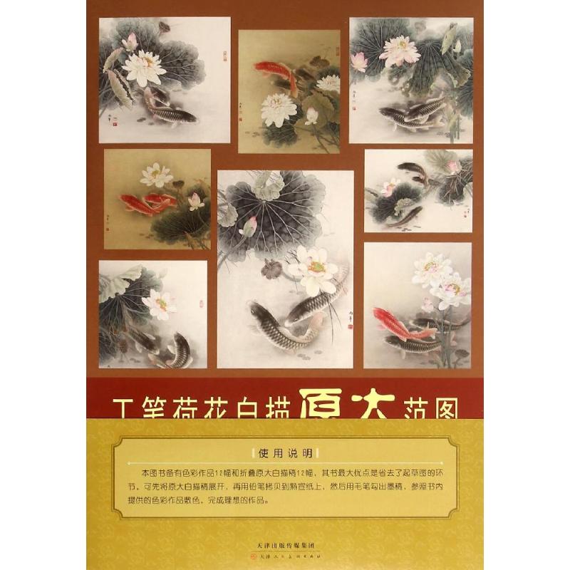 工笔荷花白描原大范图 路雨年 绘 书籍