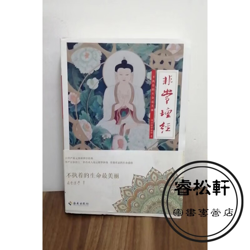 非常坛经 海云继梦著（老书旧书）