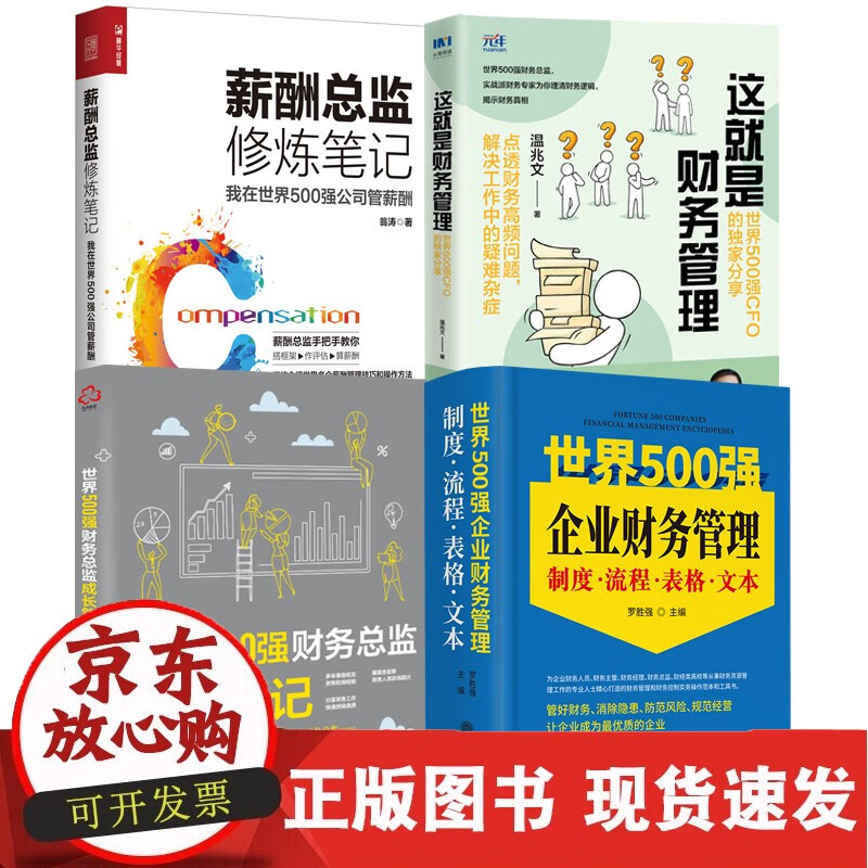 【全4册】世界500强企业财务管理制度流程表格文本+财务总监成