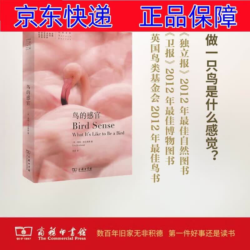 鸟的感官 科普读物科普图鉴类书籍 鸟的感官