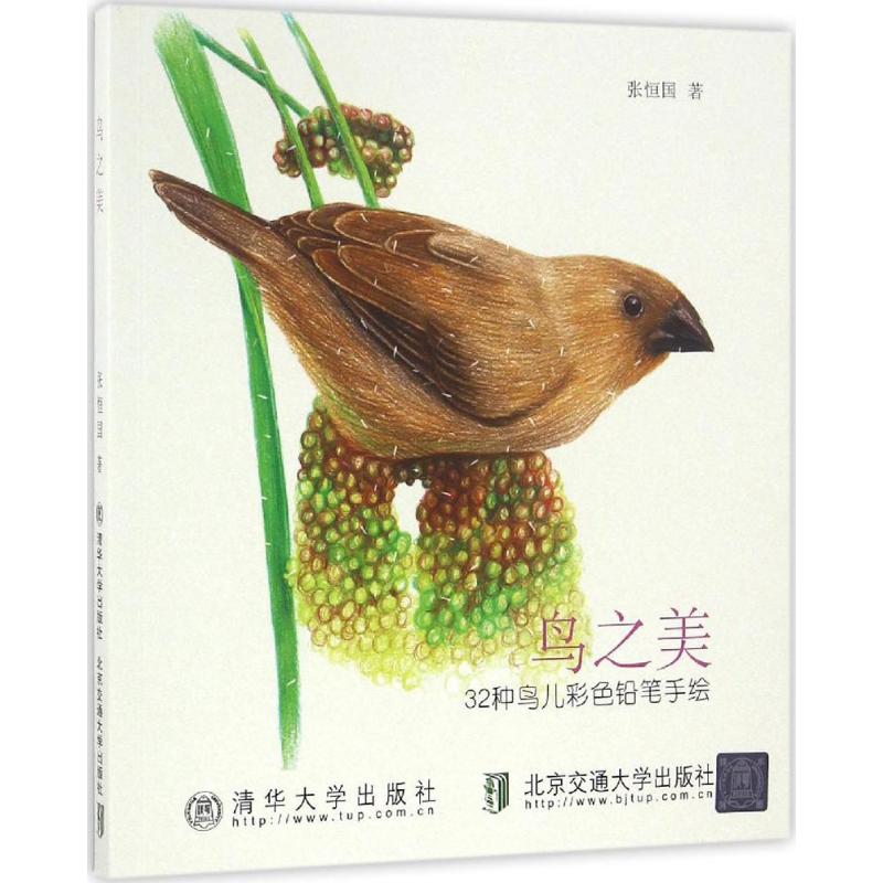 鸟之美