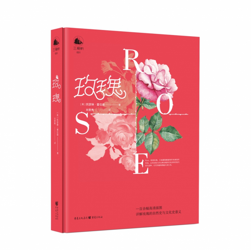 玫瑰(精)