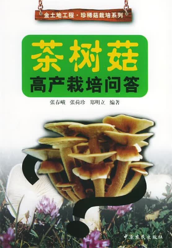 茶树菇高产栽培问答【，放心购买】