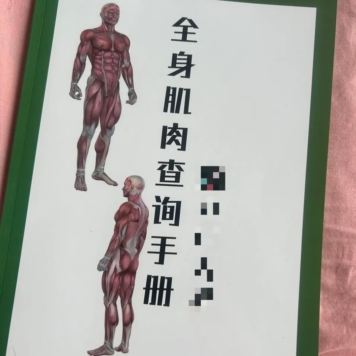 神经卡压手册 五月大哥全身疼痛点查询手册肌肉筋膜松解术