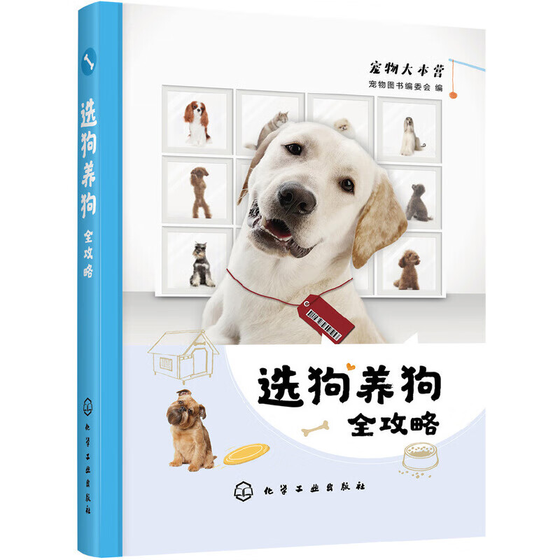 选狗养狗全攻略