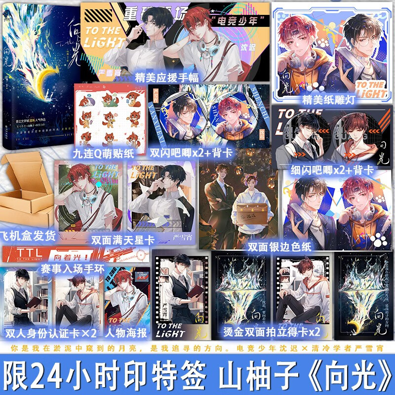 限时24h印特签 向光 山柚子 电竞少年沈迟×清冷学者严雪宵 电竞双男主小说 原名《和豪门大佬网恋后我红了》 享学YS-