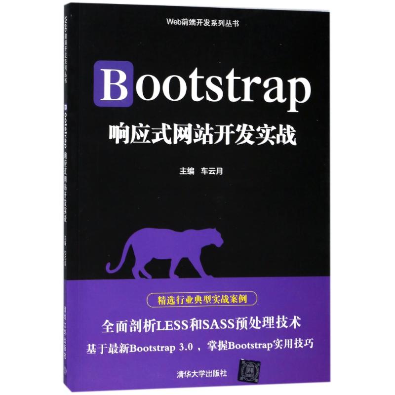 BOOTSTRAP响应式网站开发实战