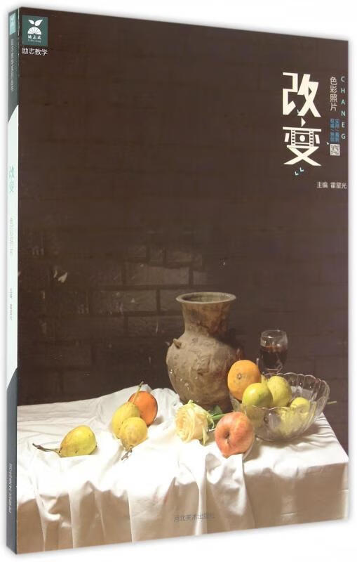 改变色彩照片 霍星光 河北美术出版社