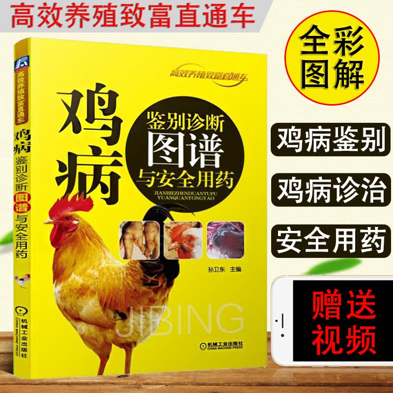 【赠视频】常见鸡病防治及安全用药图谱家禽养殖资料大全高效土鸡山林散养养鸡养鸭技术大全实用鸡病鉴别与诊