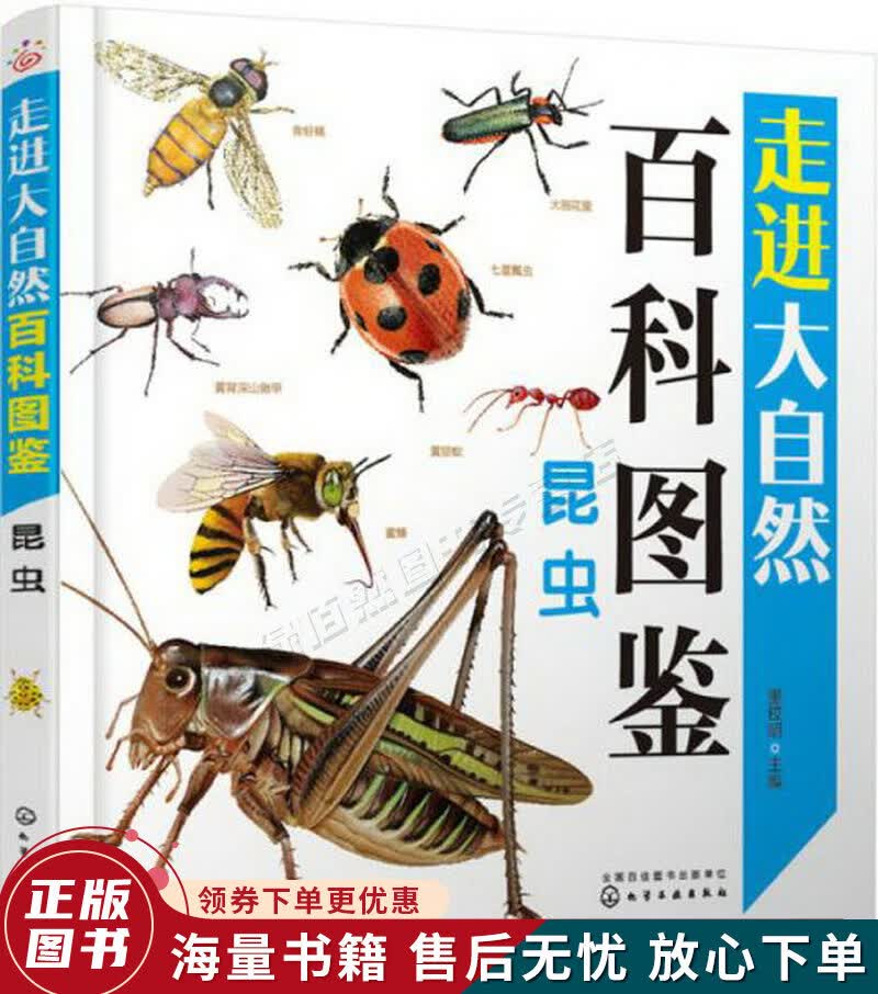 昆虫
