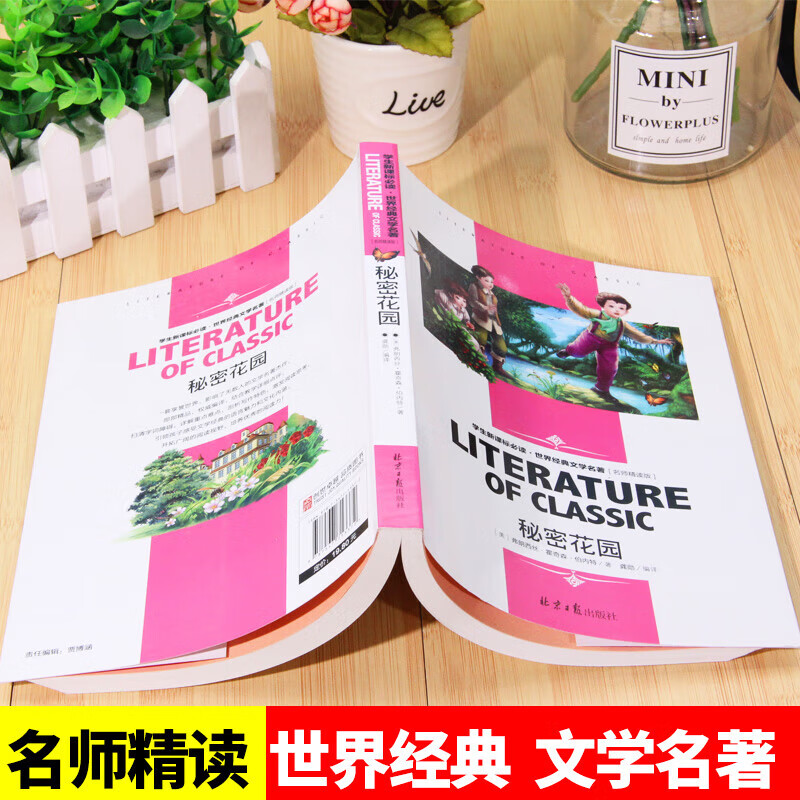 正规秘密花园 世界经典文学名著 青少年读物初中小学生课外阅读经典书籍四五六七八年级课外书儿童经典书目