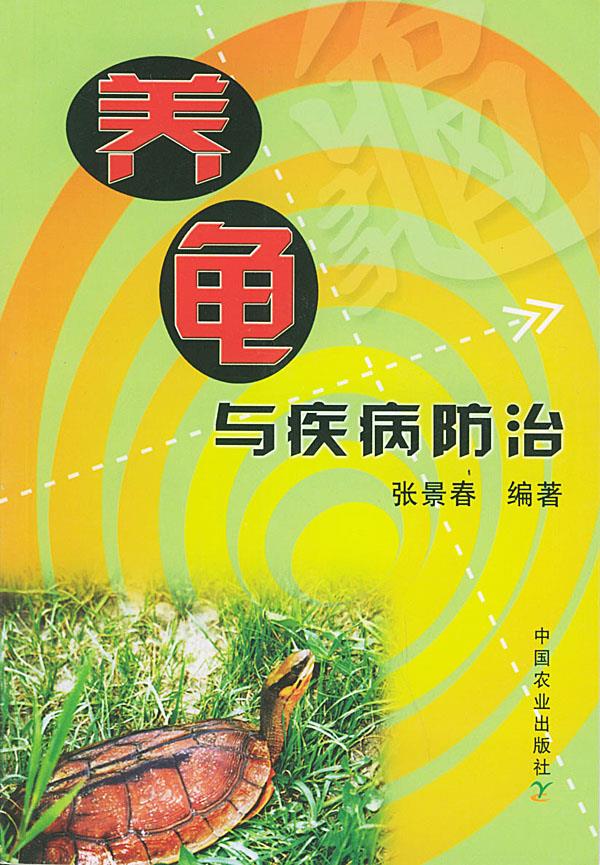 养龟与疾病防治