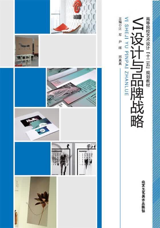 VI设计与品牌战略 汪军尹晖邢真真