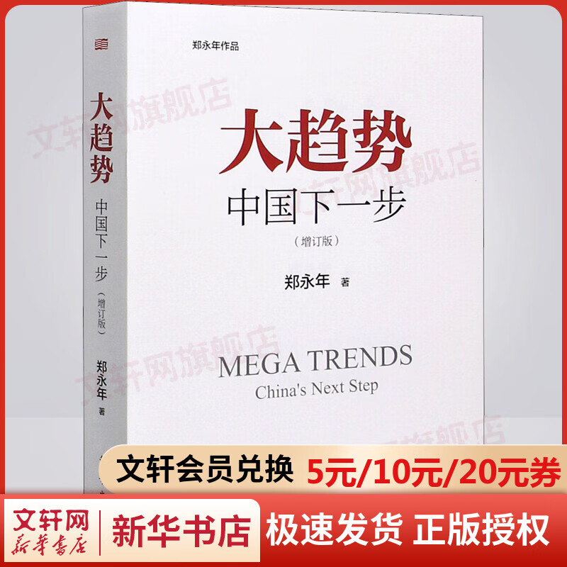 大趋势：中国下一步（增订版）