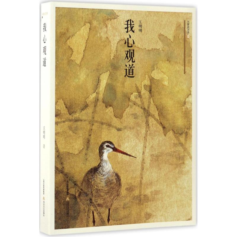 我心观道 王明明  书籍