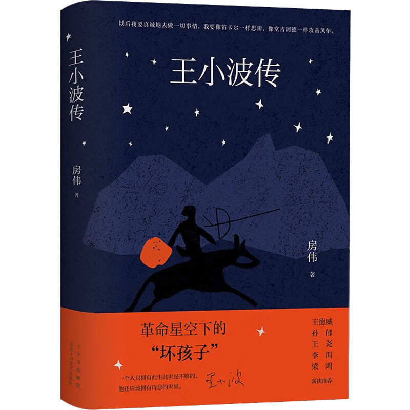 王小波传 图书