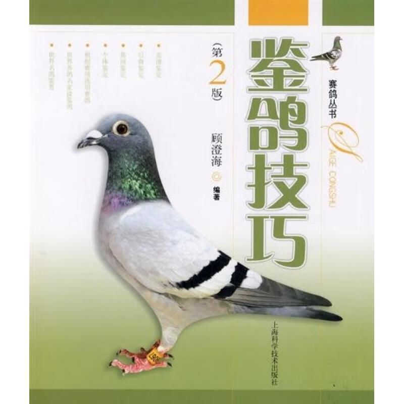 鉴鸽技巧【，放心购买】