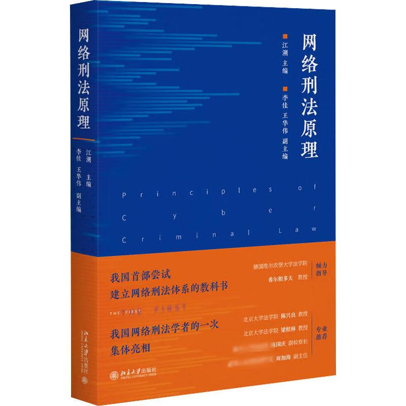 网络刑法原理