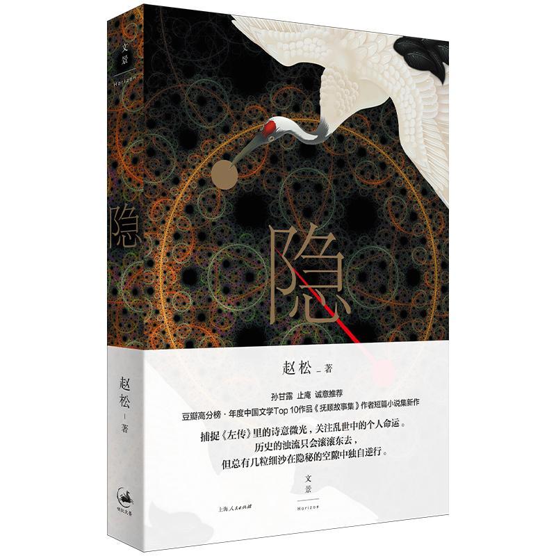 隐 小说  图书