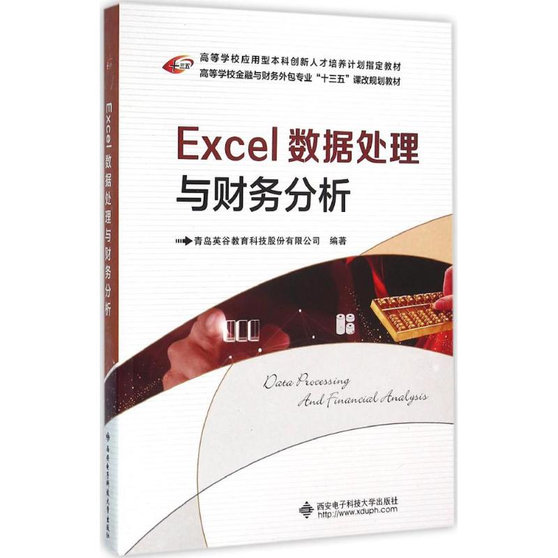 Excel数据处理与财务分析