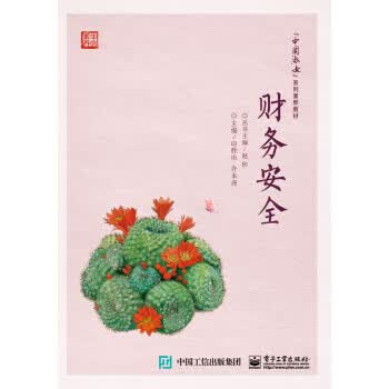 财务安全【好书，下单速发】
