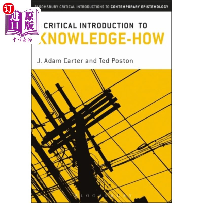 海外直订Critical Introduction to Knowledge-How 关键知识导论