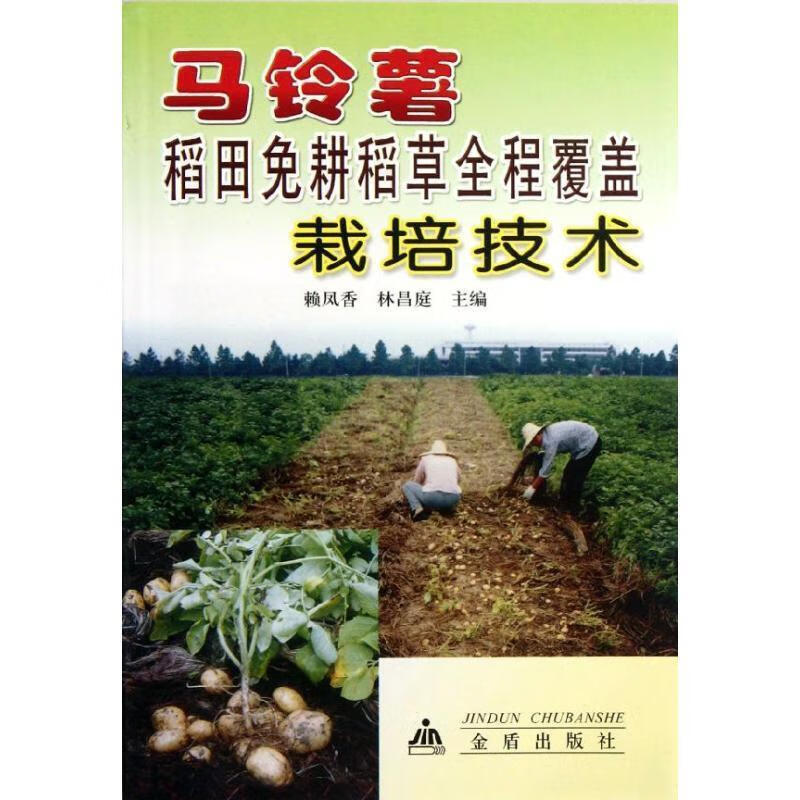 马铃薯稻田免耕稻草全程覆盖栽培技术