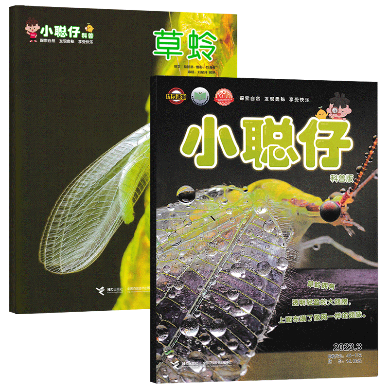 【多期可选】小聪仔（科普版）2023年2~8岁幼儿益智兴趣智力开发儿童科普期刊杂志 2023年3月