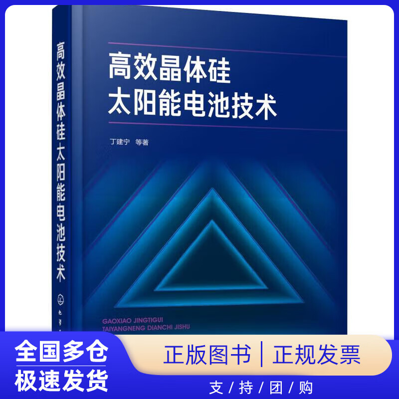 高效晶体硅太阳能电池技术丁建宁 等