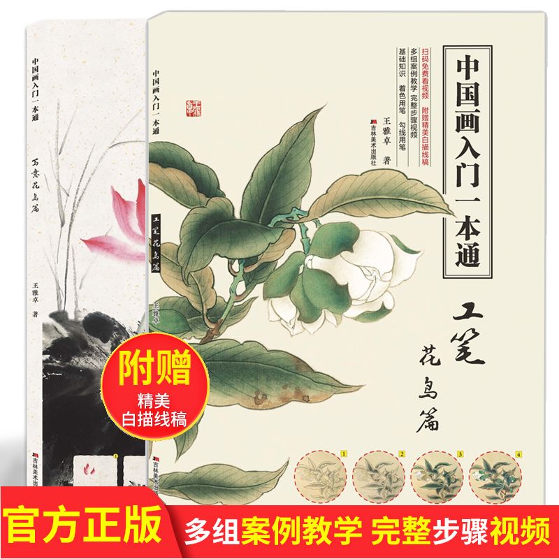 赠视频+白描线稿中国画入门一本通全2册工笔写意花鸟国画入门基础教程书国画技法入门到精通儿童初学者国画