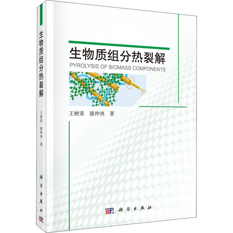 生物质组分热裂解 图书