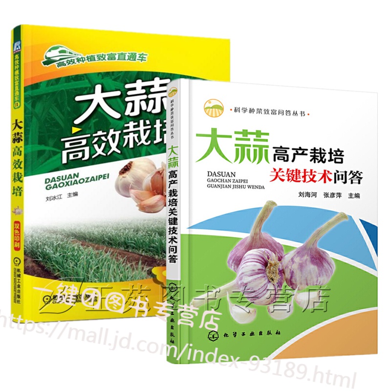 2册 大蒜高效栽培+大蒜高产栽培关键技术问答 大蒜栽培种植技术书籍蒜苗蒜黄大蒜轮作与间套作栽培技术育