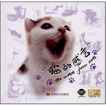 猫的感言 天一 著