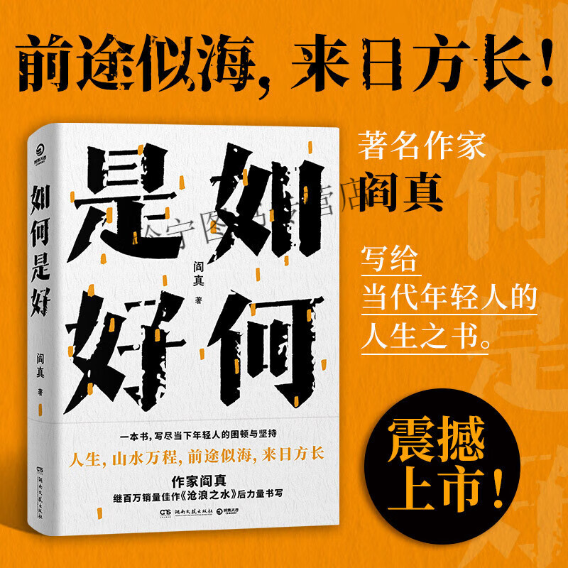 如何是好阎真茅盾文学奖入围作家女性版《沧浪之水》当代小说年轻人的人生之书写尽当下年轻人的困顿与坚持小 顿与坚持小