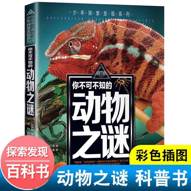 聪明的顺溜书全套8册漫画书儿童图书6-7-9-10-12岁特种兵学校军事故事书三四二年级全集读物之雄鹰小子兵王传 少年探索发现-动物之谜