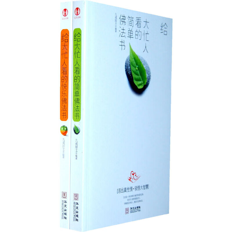 给大忙人的佛法书（全二册）