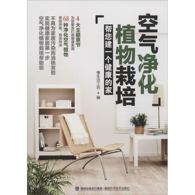 空气净化植物栽培