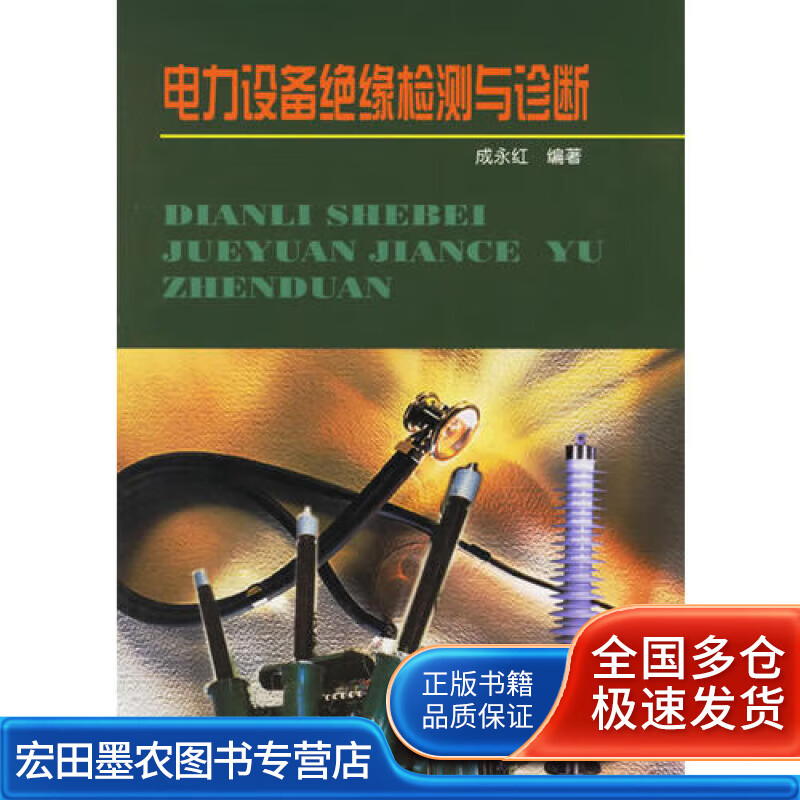 电力设备绝缘检测与诊断【好书】