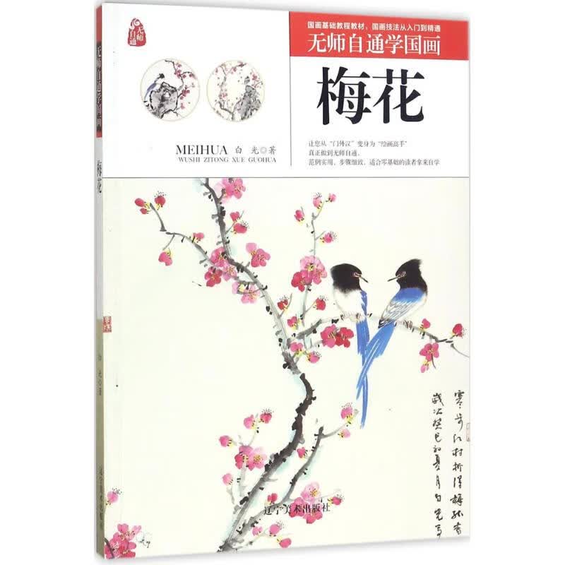 无师自通学国画梅花