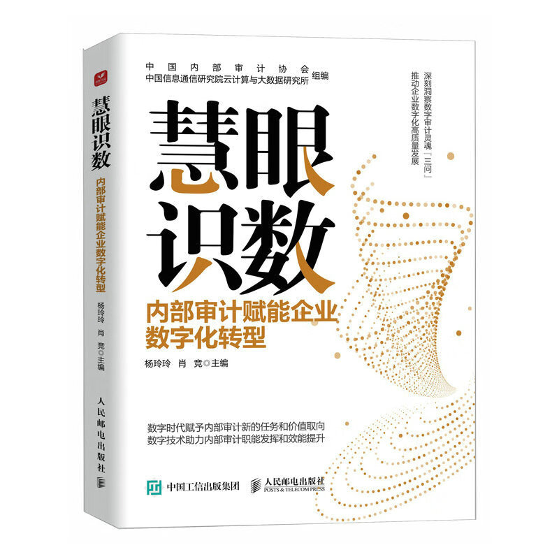 包邮 慧眼识数:内部审计赋能企业数字化转型 杨玲玲 肖竞 -人民邮电出版社