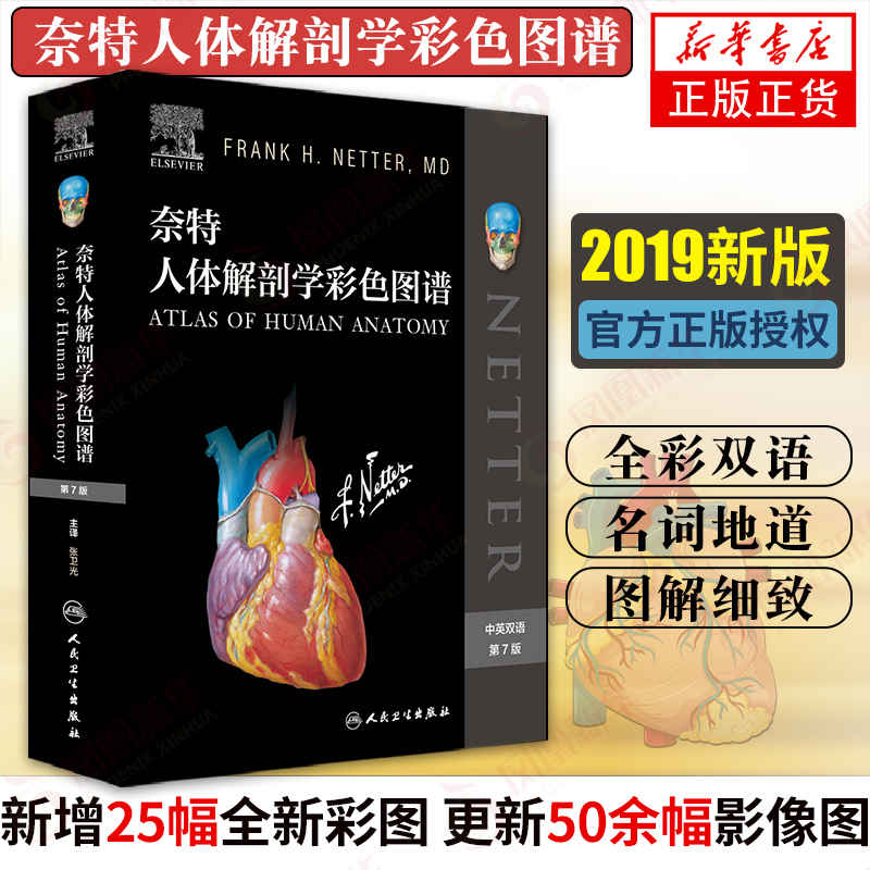 新版奈特人体解剖学彩色图谱第7版 解剖图谱 人民卫生出版社张卫光翻译版双语全彩图