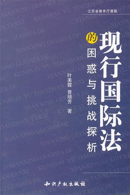 现行国际法的困惑与挑战探析