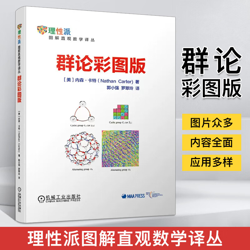 群论彩图版 图解直观数学译丛 趣味数学知识书 数学原来可以这样学发现数学之美 数学建模学习初学者 搭配几何原本数学三书微积分