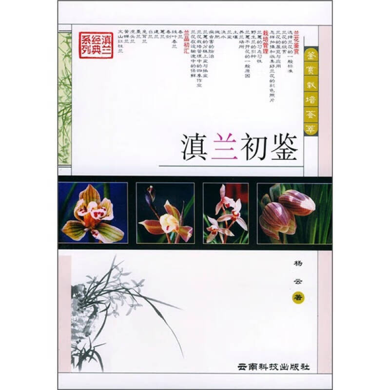 滇兰初鉴【精选】