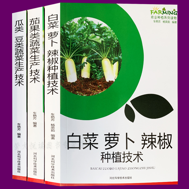 ！蔬菜种植栽培大全 新农村系列 大白菜黄瓜辣椒茄子番茄豆角萝卜种植书 病虫害防治 塑料大棚蔬菜栽培技