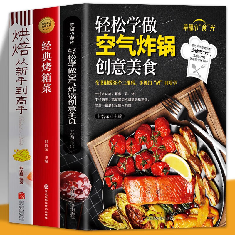 赠视频 轻松学做空气炸锅创意美食 空气炸锅料理低油又 空气炸锅创意美食+经典烤箱菜+